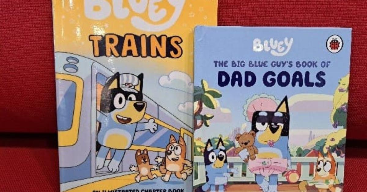 Bluey Storytime at Gateshead Central Library - Gateshead Council